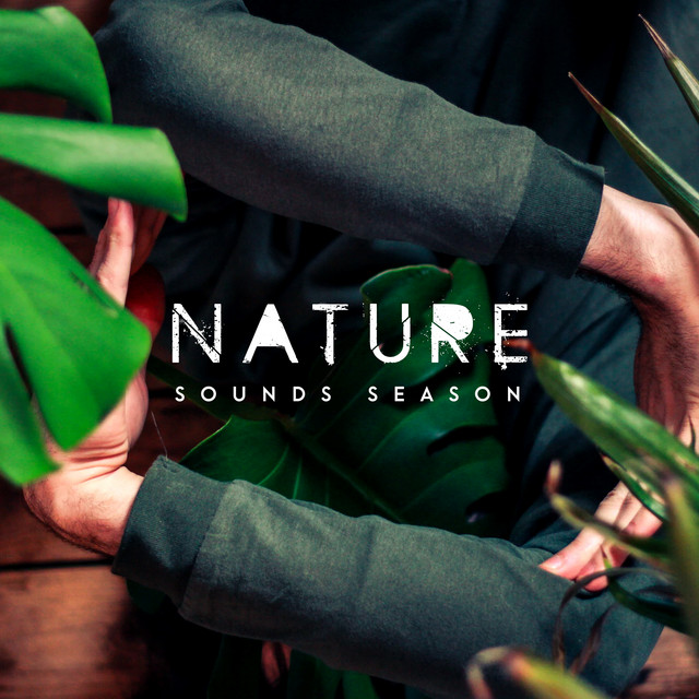 Nature Sounds Season - Album by Nature Sounds | Spotify
