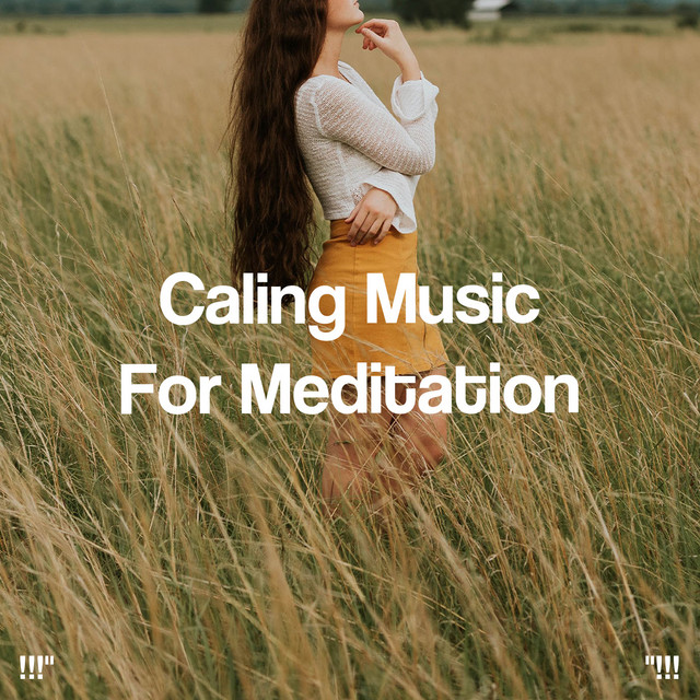 Caling Music For Meditation "!!! - Album by Relaxing Spa Music | Spotify