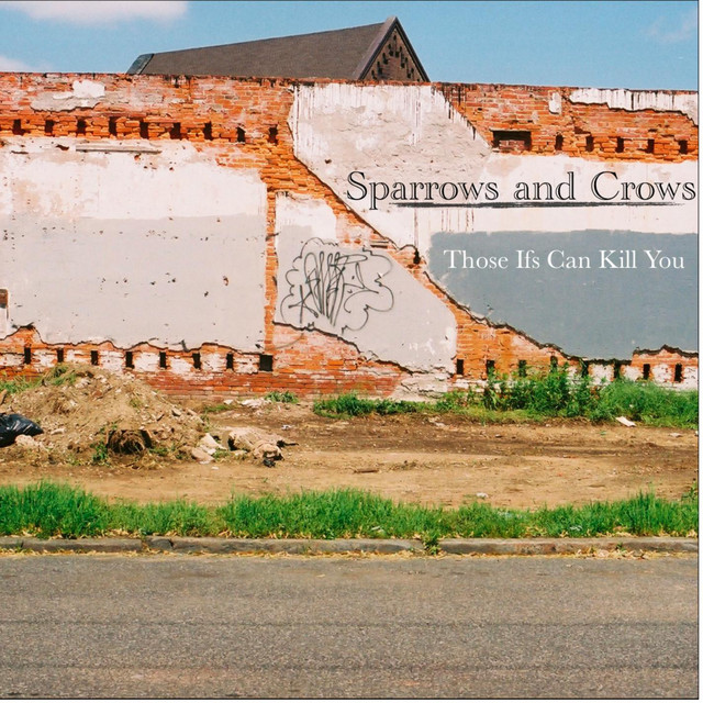 Spitting Image - song and lyrics by Sparrows and Crows | Spotify
