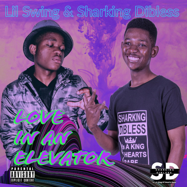 Should Have Called - song and lyrics by Sharking Dibless, Lil Swing ...