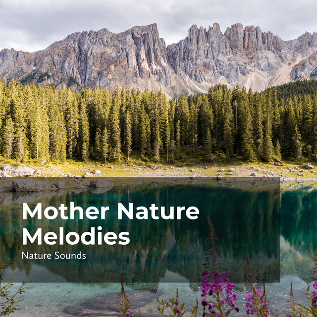 Mother Nature Melodies - Album by Nature Sounds Nature Music | Spotify