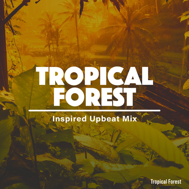 Tropical Forest Inspired Upbeat Mix - Album by Tropical Forest | Spotify