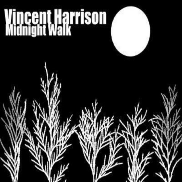 Midnight Walk - Single - Single de Vincent Harrison | Spotify