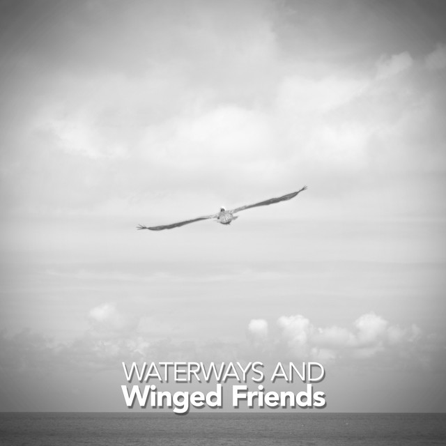 Deep Forest Bird Song - song and lyrics by Nature Sounds | Spotify