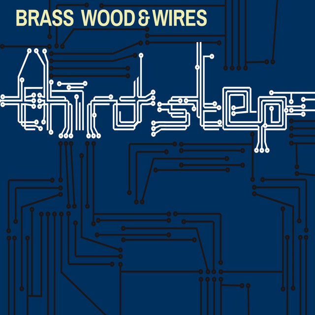 Lady 3Jane - song and lyrics by Brass Wood & Wires | Spotify