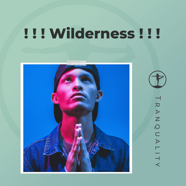 Wilderness ! ! ! - Album by Buddhist Meditation Music Set | Spotify