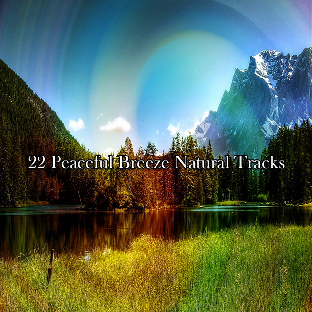 22 Peaceful Breeze Natural Tracks - Album by Mother Nature Sound FX ...