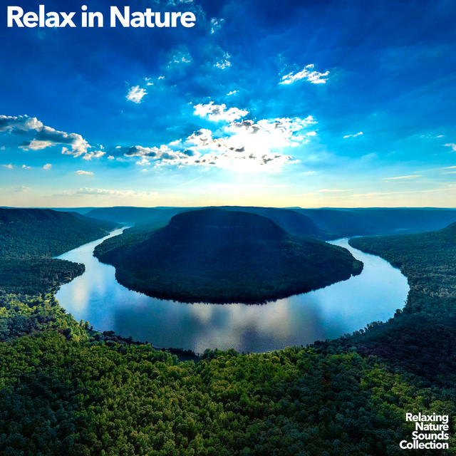 Relax in Nature - Album by Relaxing Nature Sounds Collection | Spotify