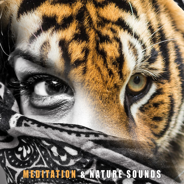 Meditation & Nature Sounds – Soothing Sounds for Deep Meditation ...