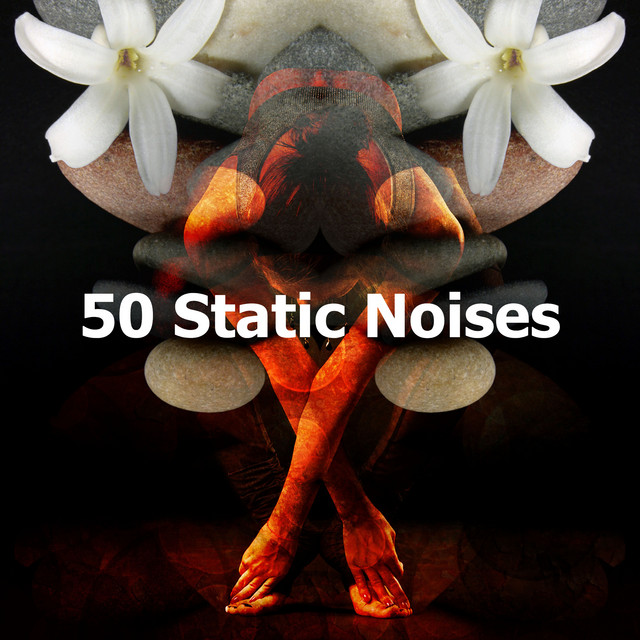 50 Static Noises - Album by Sounds of Nature White Noise for ...