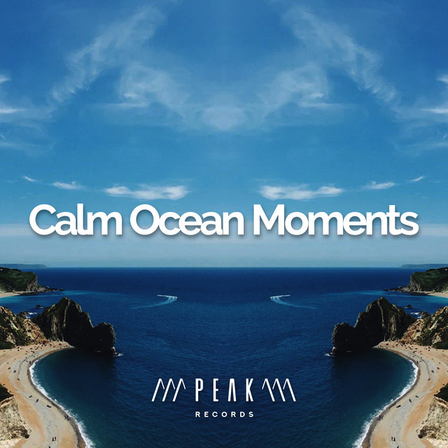 Storms on the Coast - song and lyrics by The Ocean Research Forum | Spotify