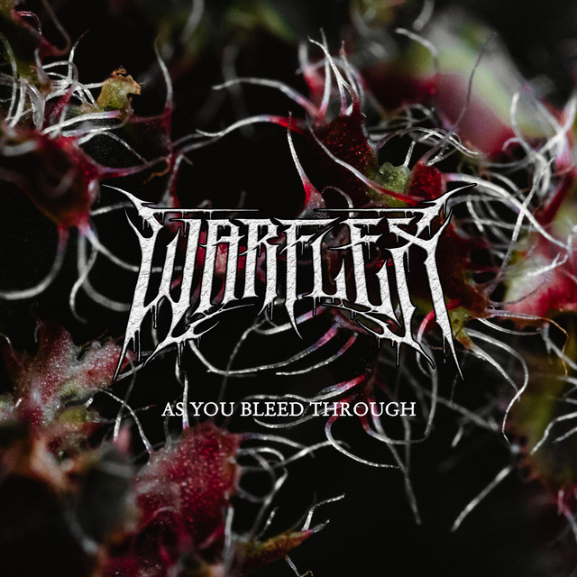 AYBT - Single by Warflex | Spotify