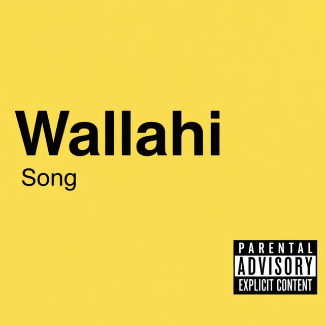 say wallahi bro - remix - song and lyrics by Vault Uploads | Spotify
