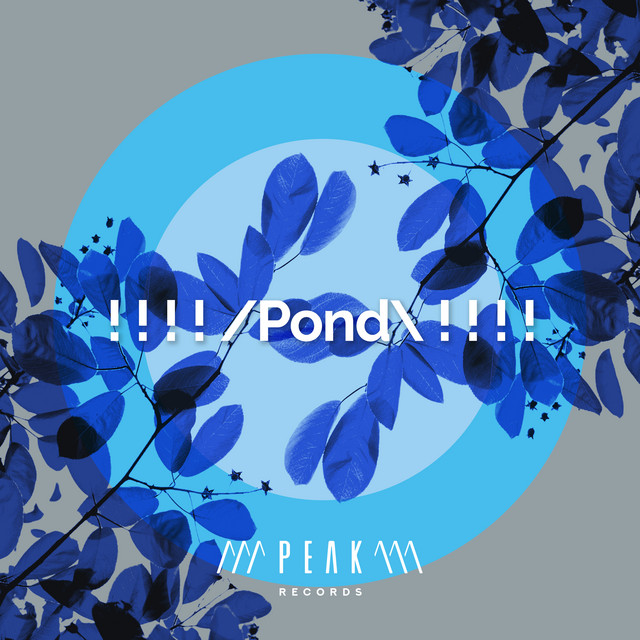 Pond\ ! ! ! ! - Album by Relaxing Rain Sounds | Spotify