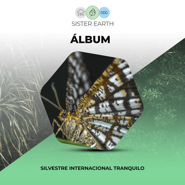 Álbum Silvestre Internacional Tranquilo - Single by Naturaleza Sonidos ...