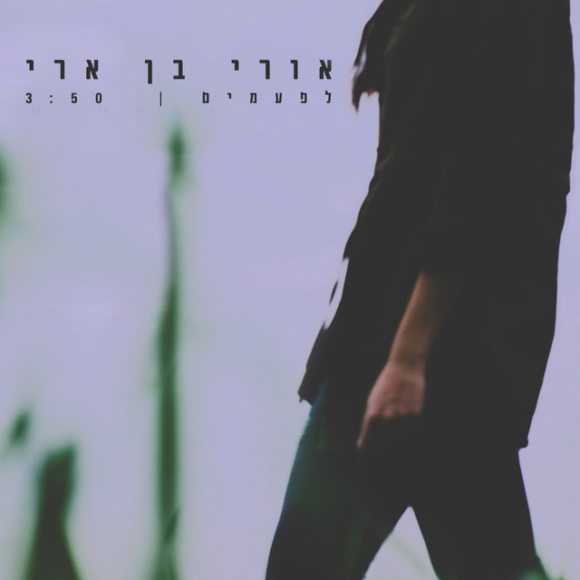 לפעמים - Single by Ori Ben Ari | Spotify