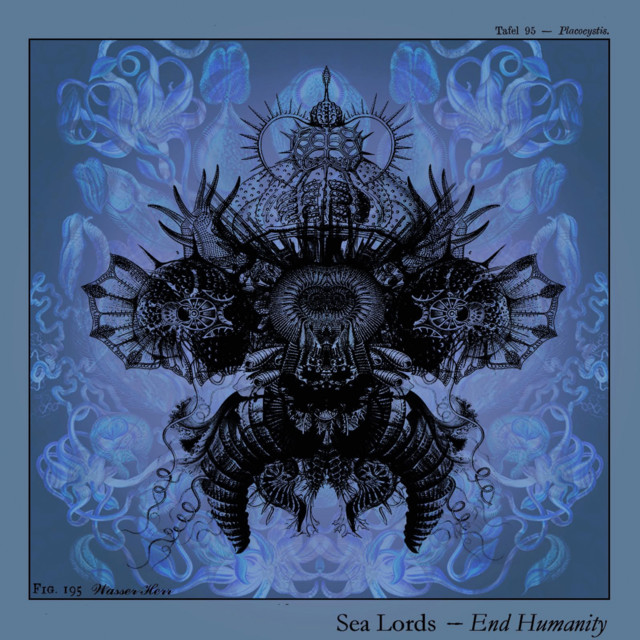 BPM and key for songs by Sea Lords | Tempo for Sea Lords songs ...