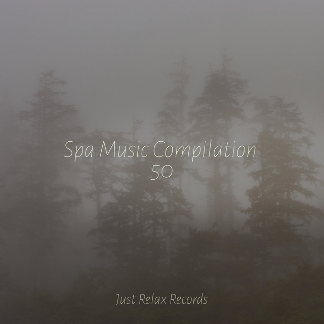 Spa Music Compilation 50 - Album by Nursery Rhymes Club | Spotify