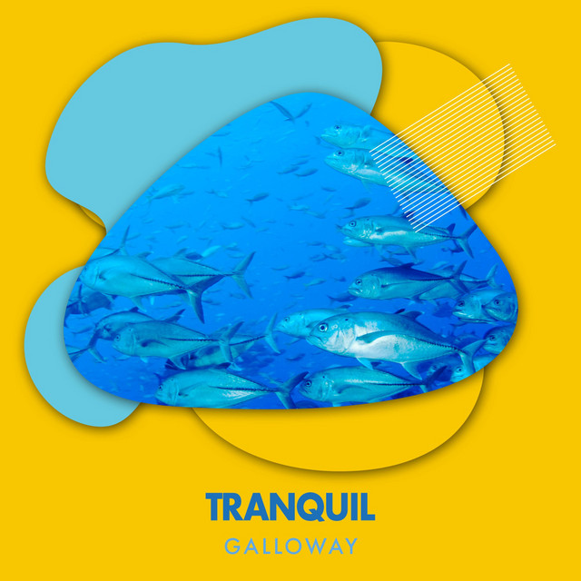 Tranquil Galloway Surf - Album by Seas of Dreams | Spotify