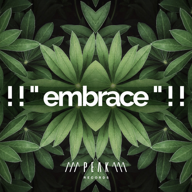 embrace " ! ! - Album by The Relaxing Sounds of Swedish Nature | Spotify