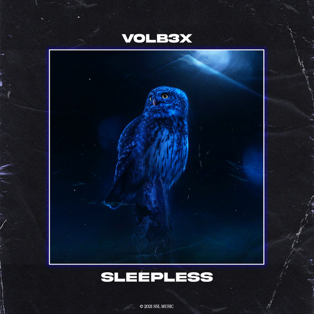 Sleepless - song and lyrics by VOLB3X | Spotify