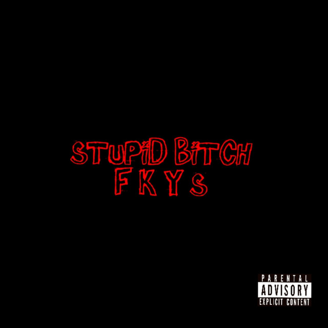 Stupid Bitch F K Y S Single By Lil Jake Spotify