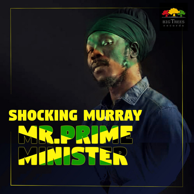 Mr. Prime Minister - Single by Shocking Murray | Spotify