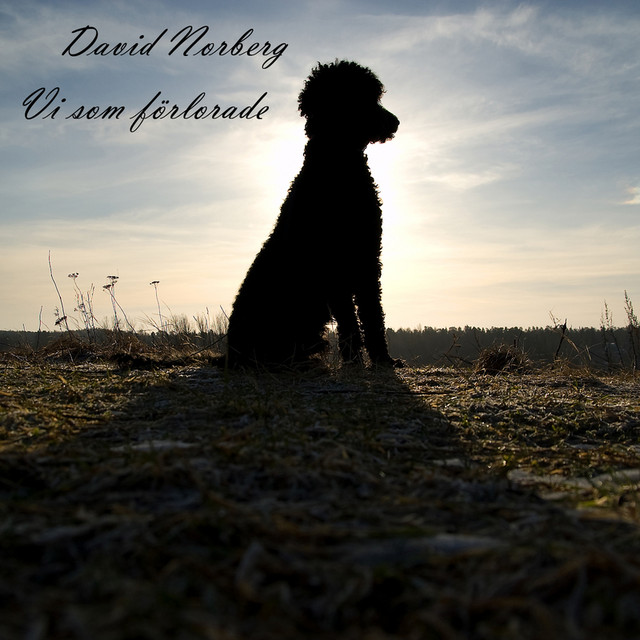 Vi som förlorade - EP by David Norberg | Spotify