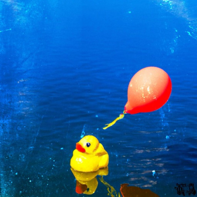 Original Duck - song by Upintheair | Spotify