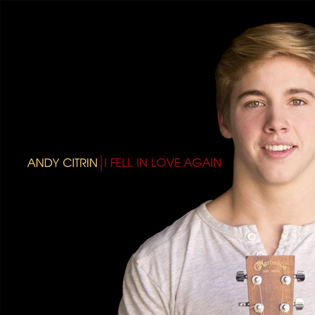 I Fell in Love Again - Single by Andy Citrin | Spotify