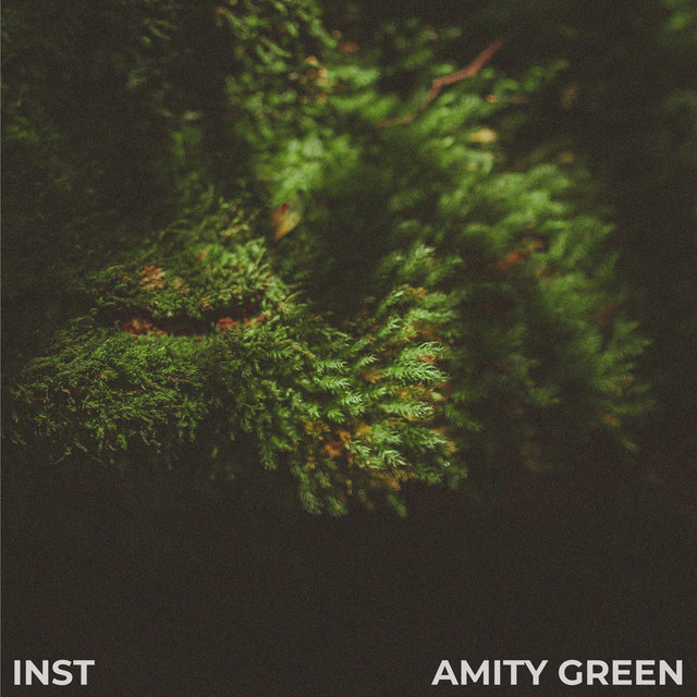 Amity Green - Single by INST | Spotify