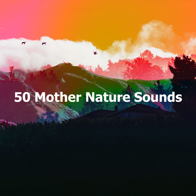 50 Mother Nature Sounds - Album by Mother Earth Sounds | Spotify