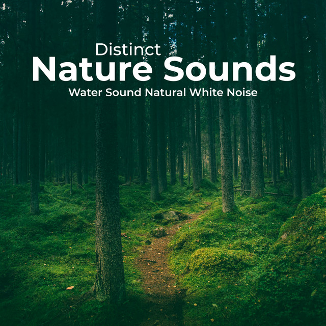 Distinct Nature Sounds - Album by Water Sound Natural White Noise | Spotify