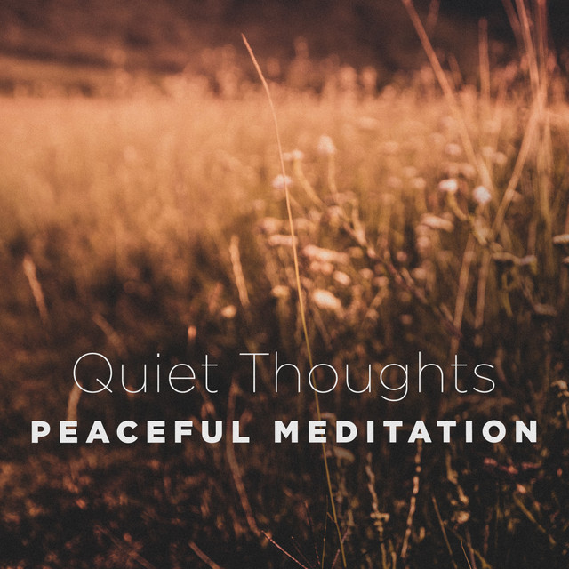 Peaceful Meditation - song and lyrics by Quiet Thoughts | Spotify