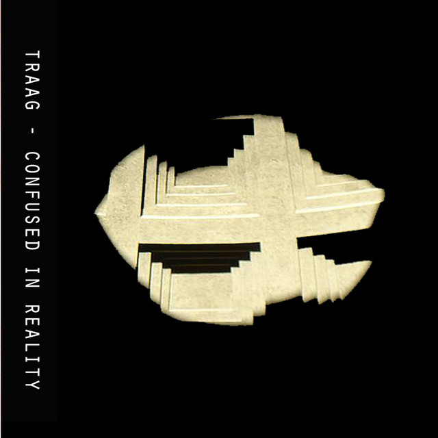 Confused in Reality - Album by Traag | Spotify