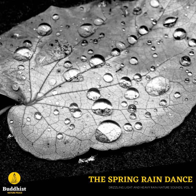 Enjoyable Spring Rain - song and lyrics by Dense Rain Zone | Spotify