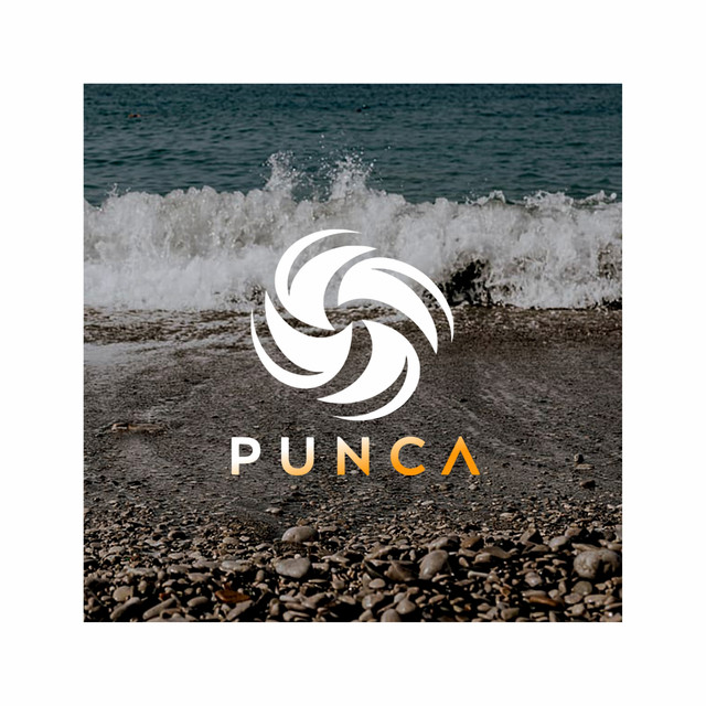 PUNCA | Spotify