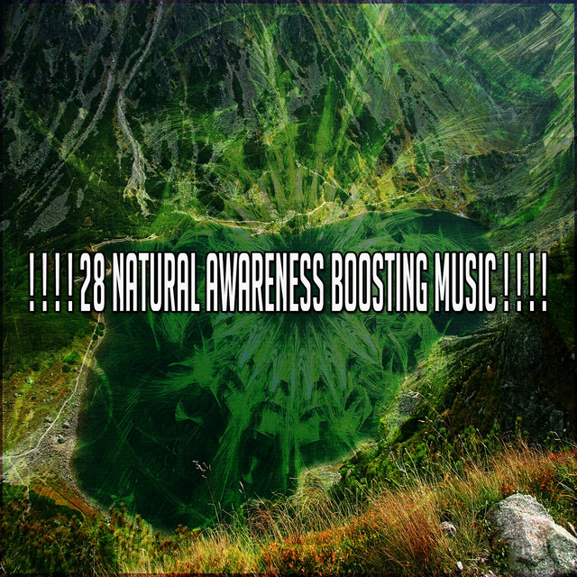 28 Natural Awareness Boosting Music ! ! ! ! - Album by Ambient Forest ...