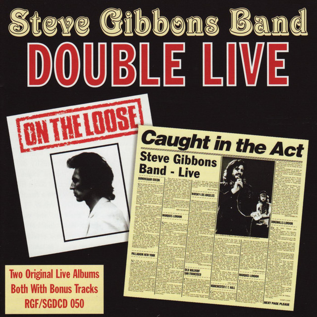 Absolutely Gone - song and lyrics by Steve Gibbons Band | Spotify