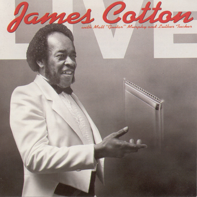 James Cotton Live at Antone's Nightclub - Album by James Cotton | Spotify