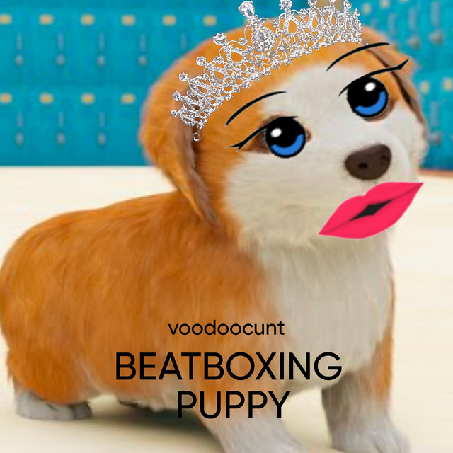 Beatboxing Puppy - song and lyrics by voodoocunt | Spotify
