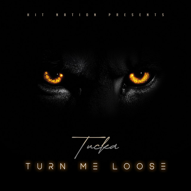 Turn Me Loose - Single by Tucka | Spotify