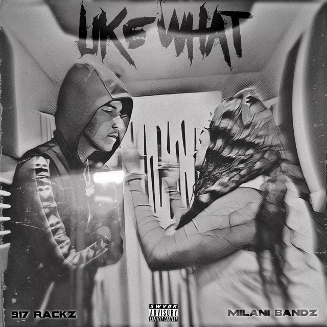 Like What - Single by Milani Bandz | Spotify