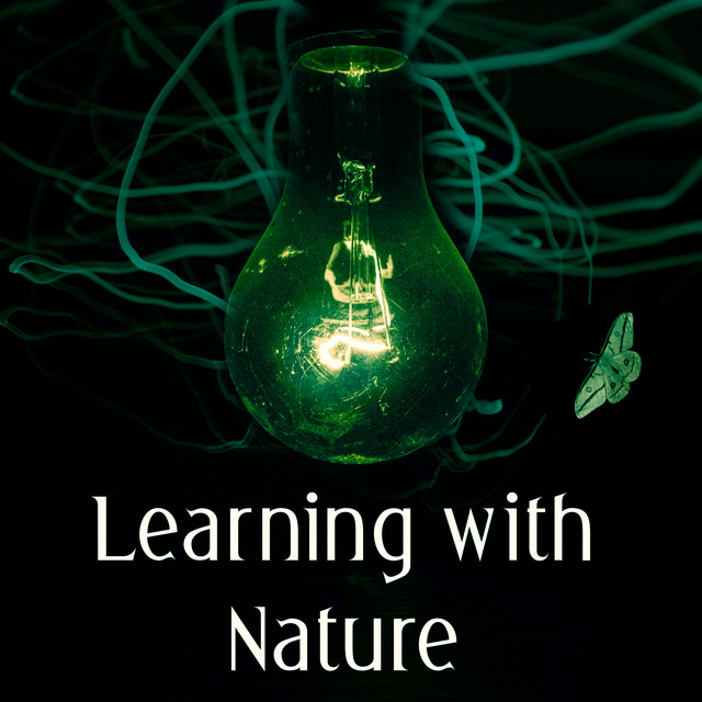 Learning with Nature – Study Music with Nature Sounds, Learn By Hearth ...