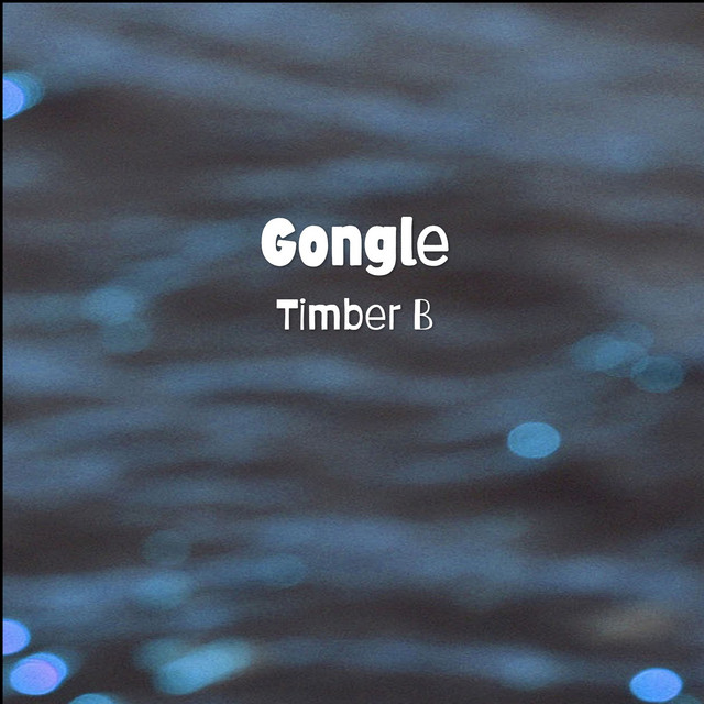 Timber B | Spotify