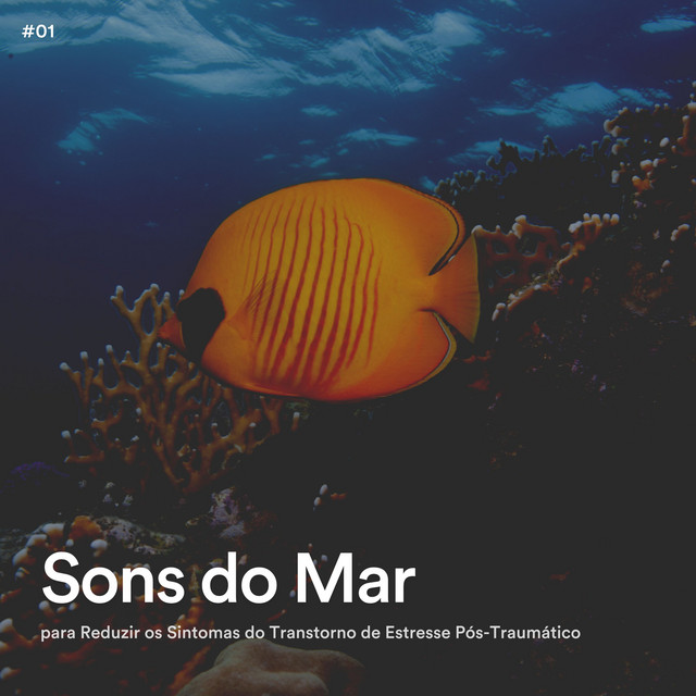 #01 Sons do Mar para Reduzir os Sintomas do Transtorno de Estresse Pós ...