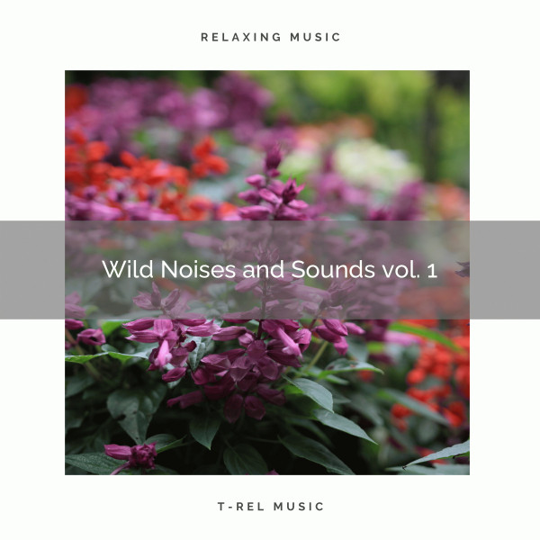 Wild Noises and Sounds vol. 1 - Album by Sounds of Nature Noise | Spotify