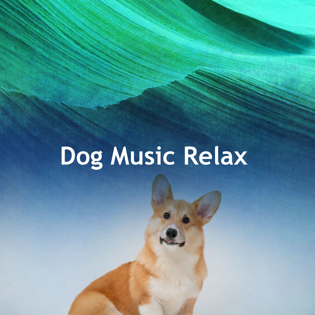 Dog Music Relax - Album by Dog Music Hour | Spotify