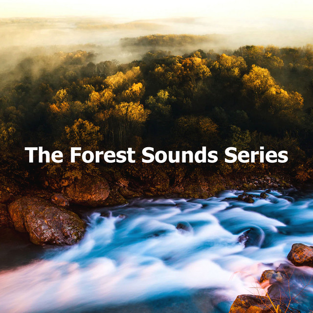The Forest Sounds Series - Album by Nature Sound Series | Spotify