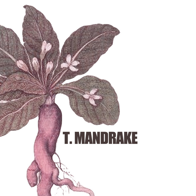 T.Mandrake - EP by T. Mandrake | Spotify